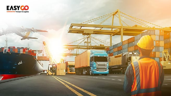 Clearance Adalah: Proses Penting dalam Logistik dan Bea Cukai | EasyGo